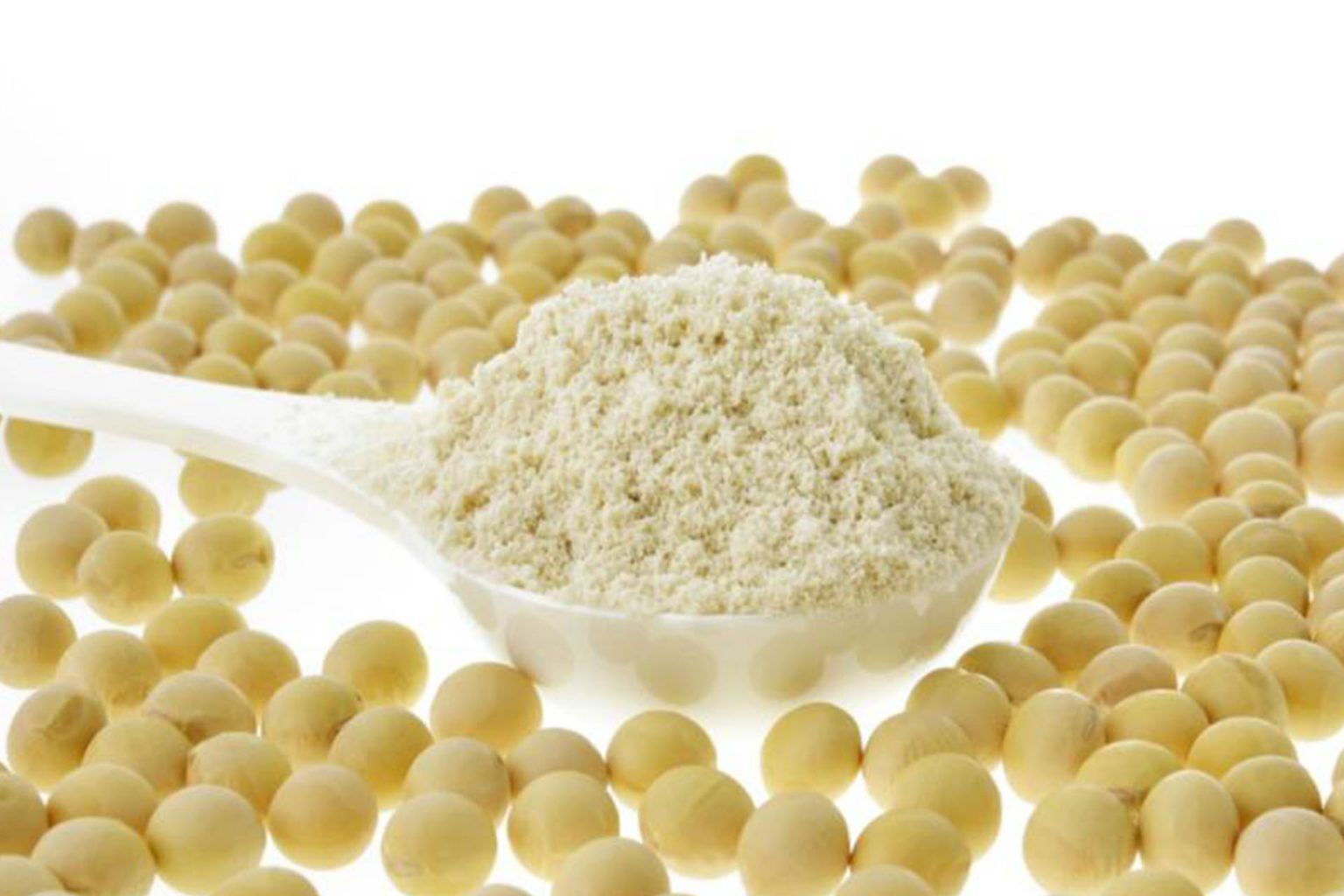 Soy Protein Concentrates: Food Grade and Feed Grade - JustLong