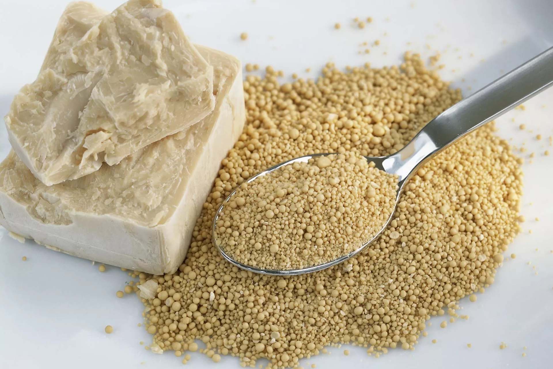 Distinguishing Yeast Extract from Yeast: A Professional Perspective ...